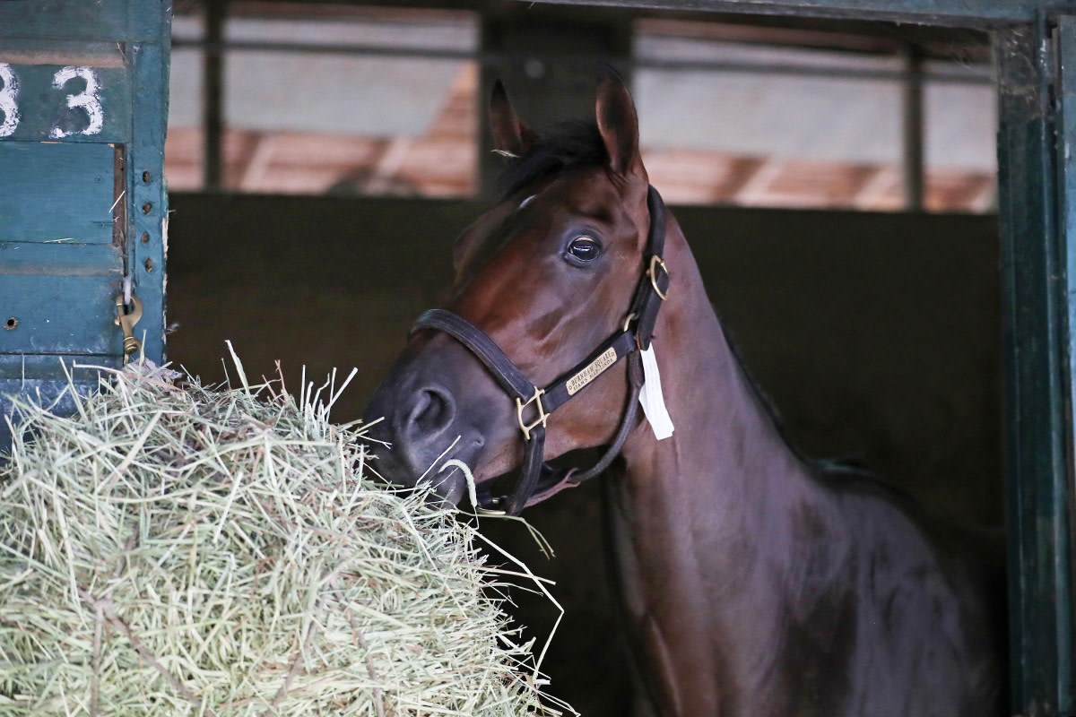 'Showed Us How Good He Is’: Unexpected Talent Burnham Square Seeks To Avenge Connections In Haskell