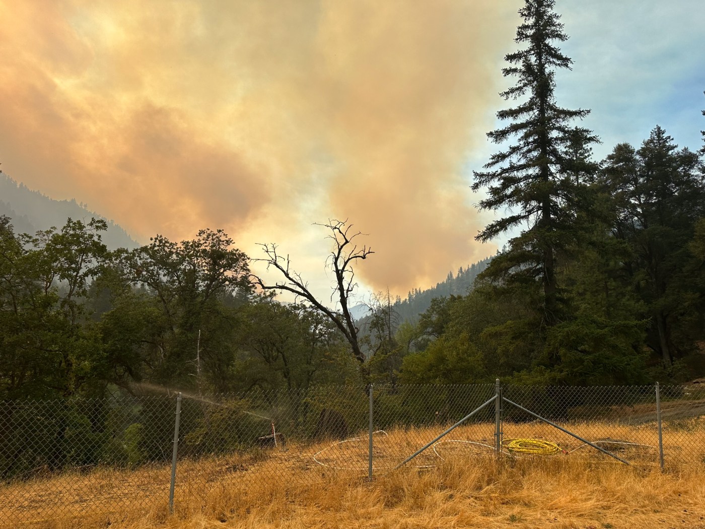 Butler Fire jumps Salmon River, evacuations ordered in Forks of Salmon