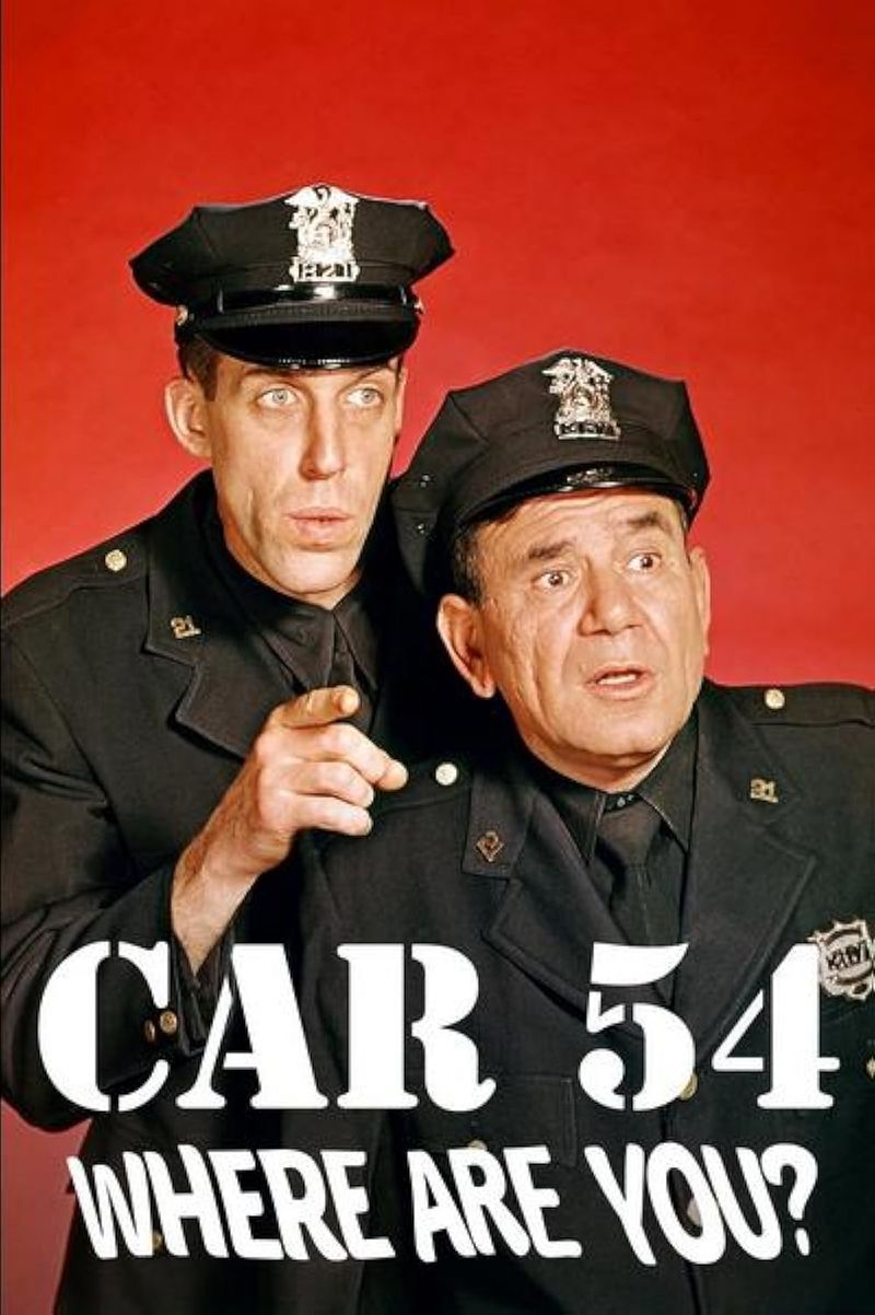 20 Underrated '60s Sitcoms We Never Should've Said Goodbye To