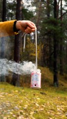 Use this trick to get rid of disgusting insects 🦟