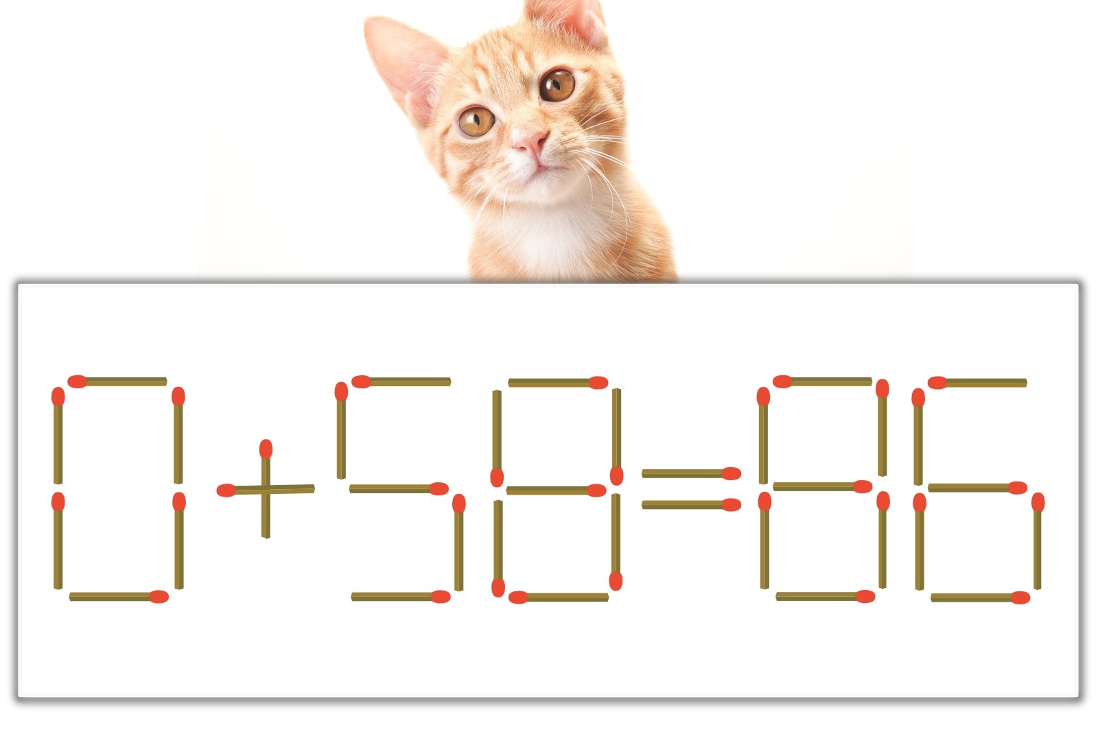 【マッチ棒パズル】正しい式にしよう！「0+58=86」【毎日脳トレ】