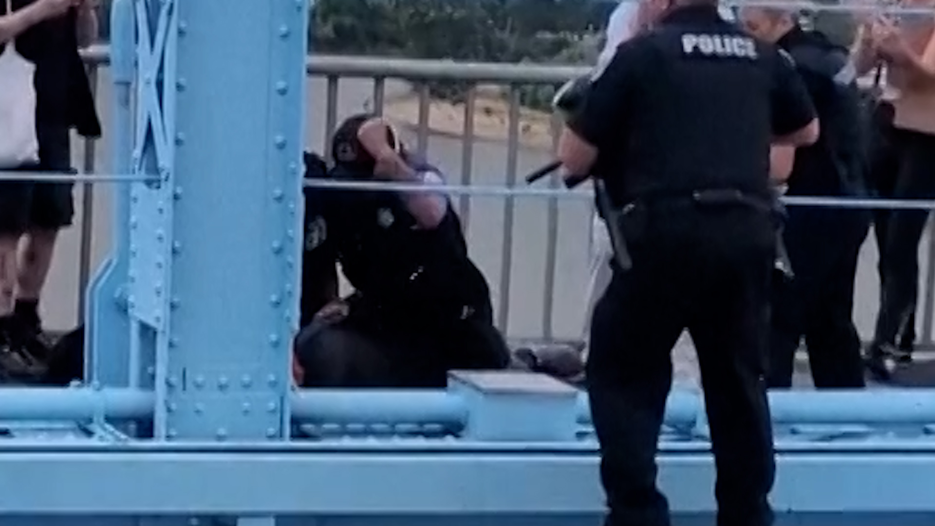 Police Punch And Slam Protesters At Immigration Protest