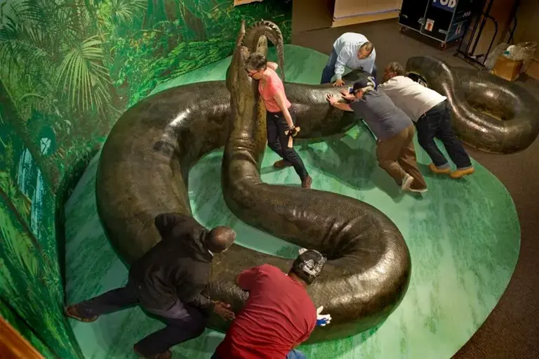The free outdoor pool in Wolverhampton set in lovely green fields