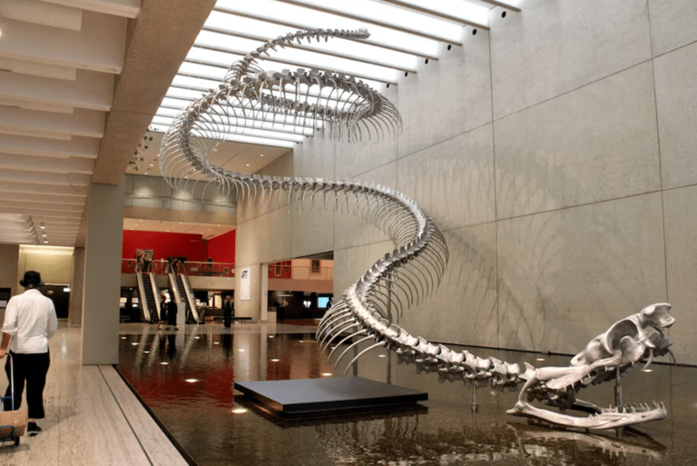Titanoboa: The massive 45-foot snake that ruled the prehistoric world