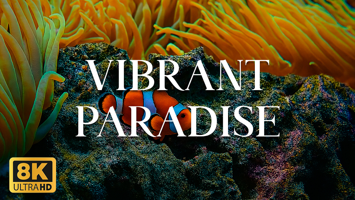 16K HDR Vibrant Paradise – ULTRA HD Demo for 4K & 8K Display Performance