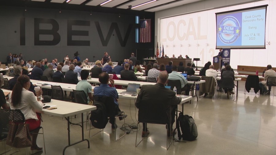 Democratic Senate, comptroller candidates pitch for Cook County party’s ...