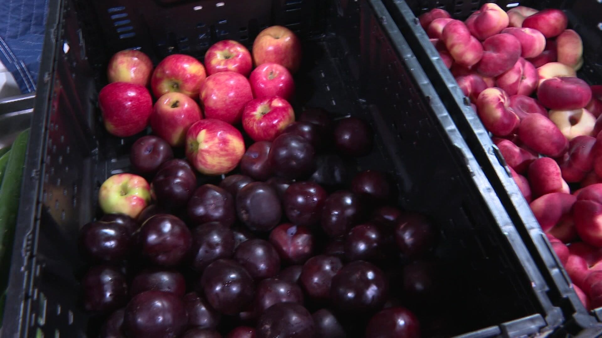 Dane Co. nonprofits brace for potential SNAP cuts in Southern Wisconsin