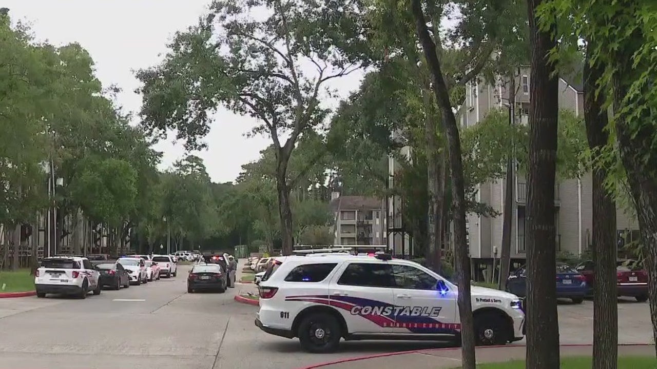 Accused shooter in deadly Spring incident released; case to be reviewed ...