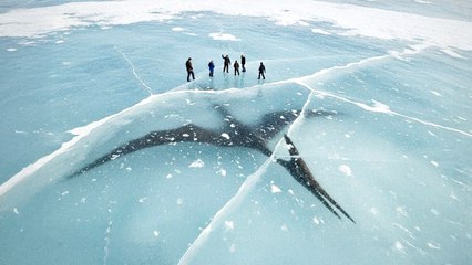 Giant Creature Discovered Frozen And Other Incredible Prehistoric Finds