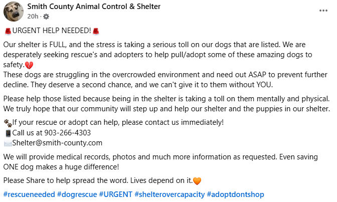 Smith County animal shelters at capacity, not taking in any more animals
