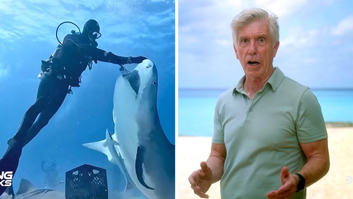 Tom Bergeron Talks New TV Show 'Dancing With Sharks'