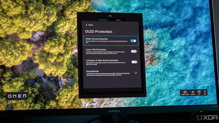 OLED burn-in is overblown, but IPS is still the productivity king