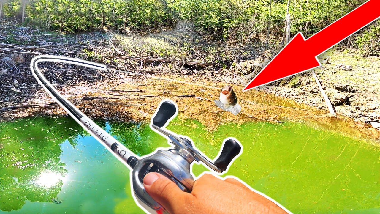 Trying to win 30,000 dollars in a high stakes fishing tournament