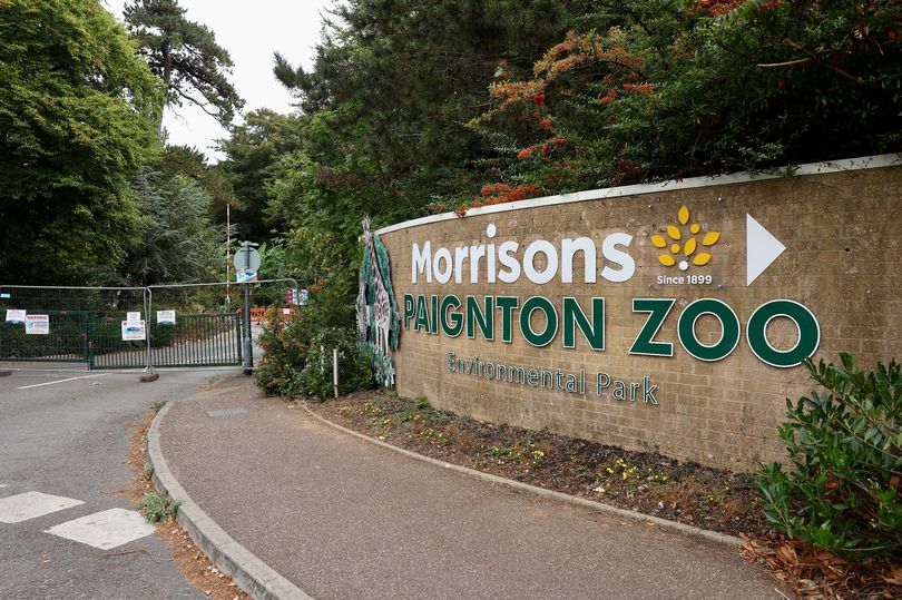 Paignton Zoo visitors get up close to lions and polar bears