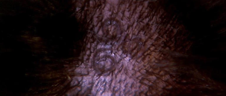 The Omen: The Movie That Set the Satanic Horror Standard