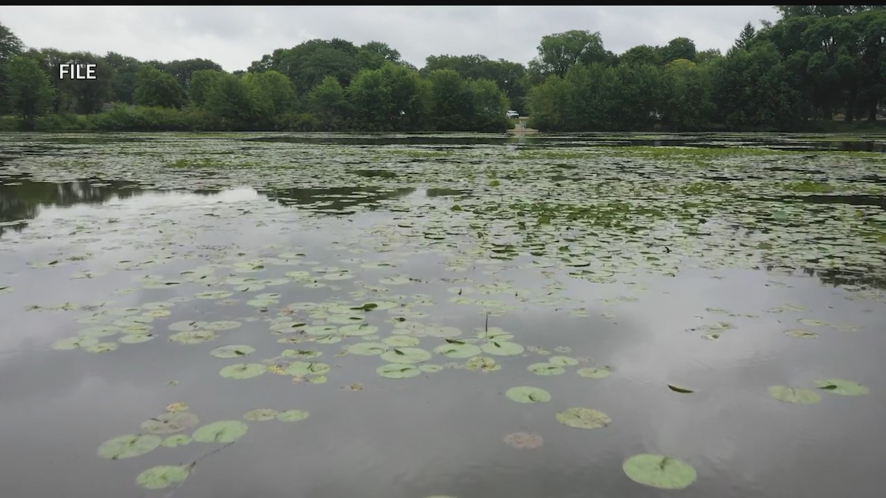 Mosquito with West Nile virus detected in Mercer County and other areas