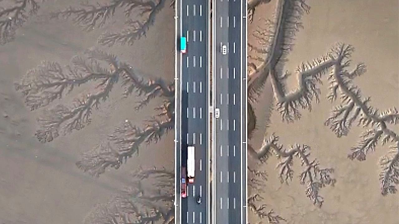 Drone captures dragon-like 'tidal tree' rising from waves in China