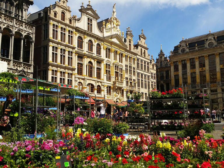 [Award Alert] Business Class Availability to Brussels, Belgium, From ...