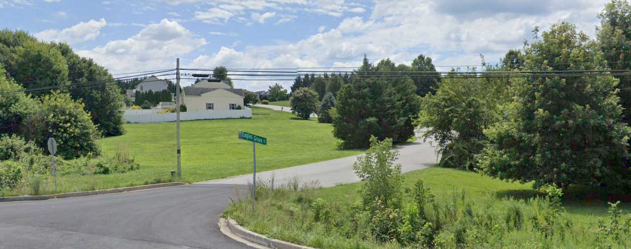 44 Dogs Rescued From ‘Inhumane’ Conditions At Maryland Property ...