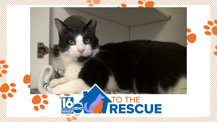 16 To the Rescue: Herman
