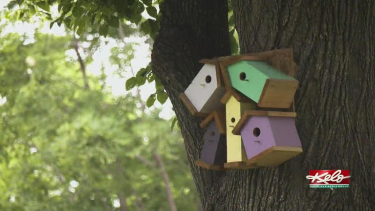 Fall preview in July