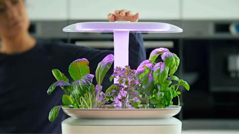 SmartGrow: Revolución en huertos domésticos de interior con cultivo inteligente y ecológico