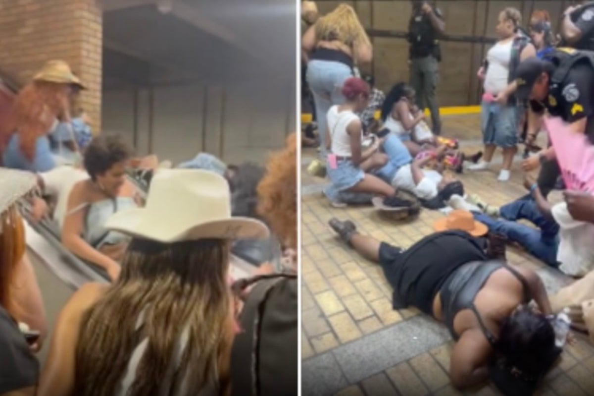 Insect may have caused stampede following Beyoncé concert