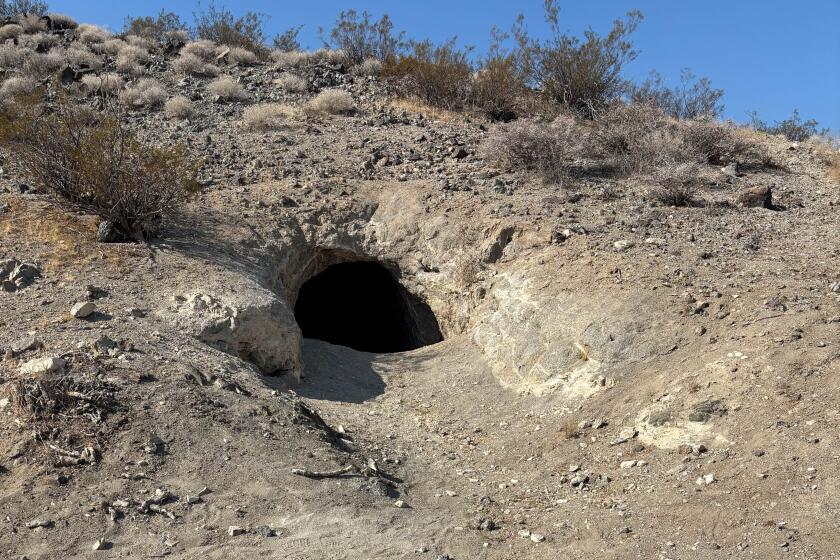 Tech expert who helped cops investigate a missing Bass Lake man has ...