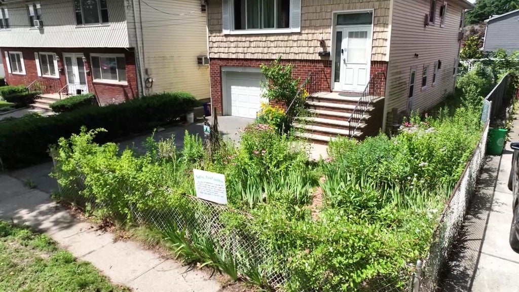 Village tries to fine Long Island woman who replaced lawn with native ...