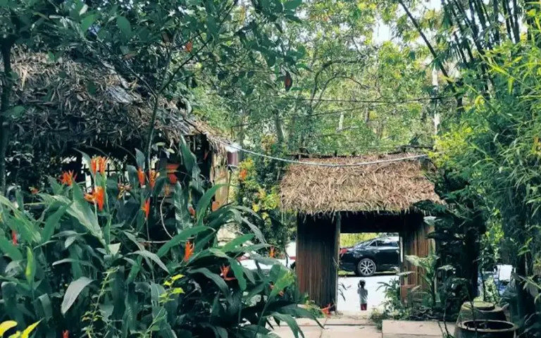 Rainforest Tree House: a community-led model for living with nature