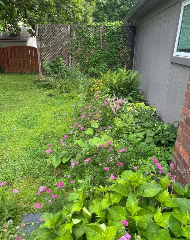 Homeowner shares beautiful before-and-after photos of yard ...