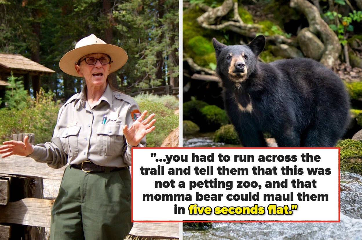 Park Rangers, Share With Us The Most Bizarre Encounters They've Had ...