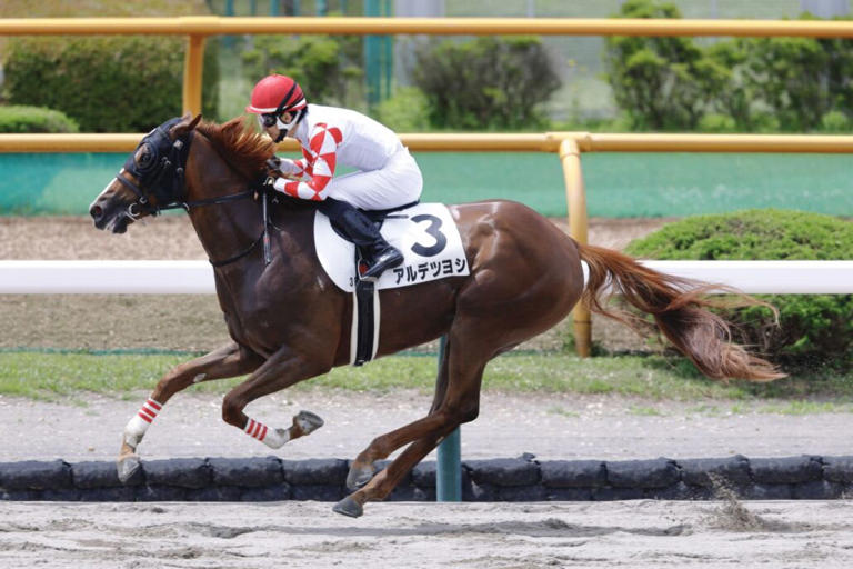 【函館3R】アルデツヨシ快勝で丹内騎手はJRA通算600勝達成