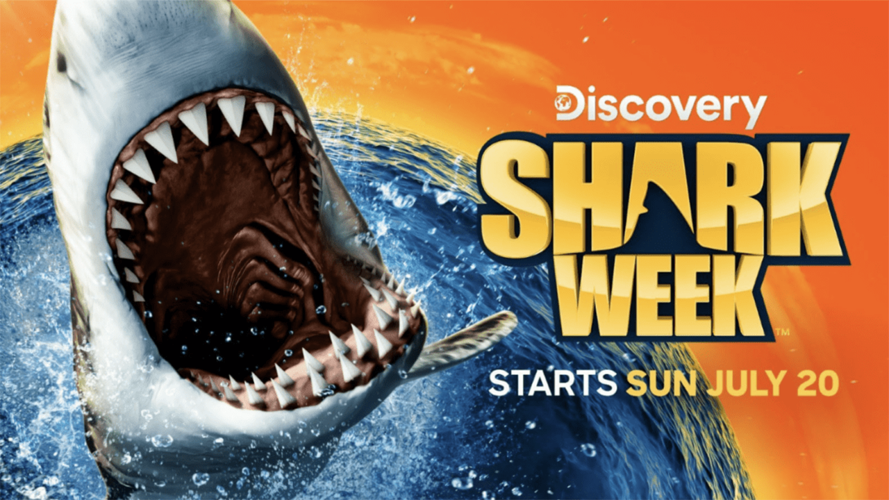 How to watch Shark Week 2025: Live TV & streaming schedule for Discovery special