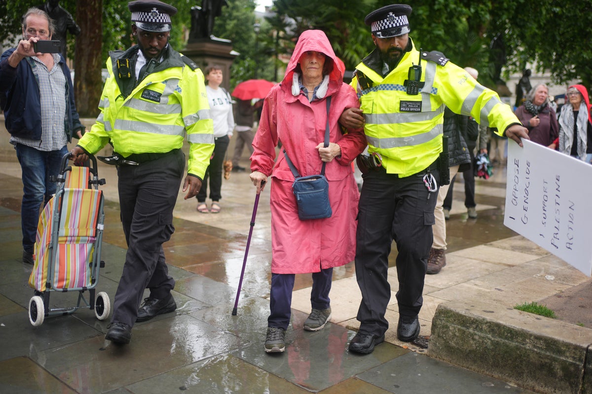 Police arrest 55 protesters in central London for holding placards ...