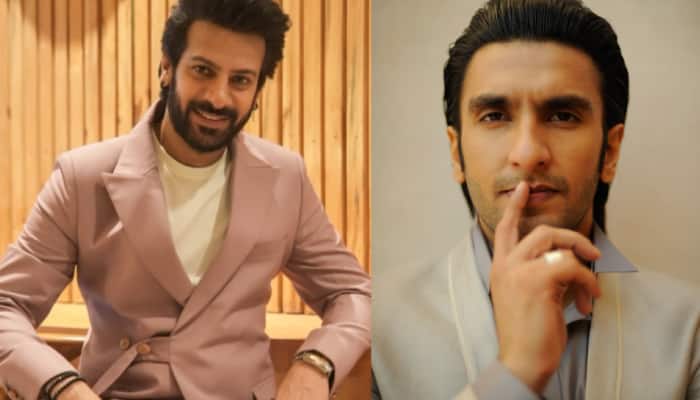 Karan Veer Mehra Boards 'Don 3' As Antagonist Opposite Ranveer Singh: Report