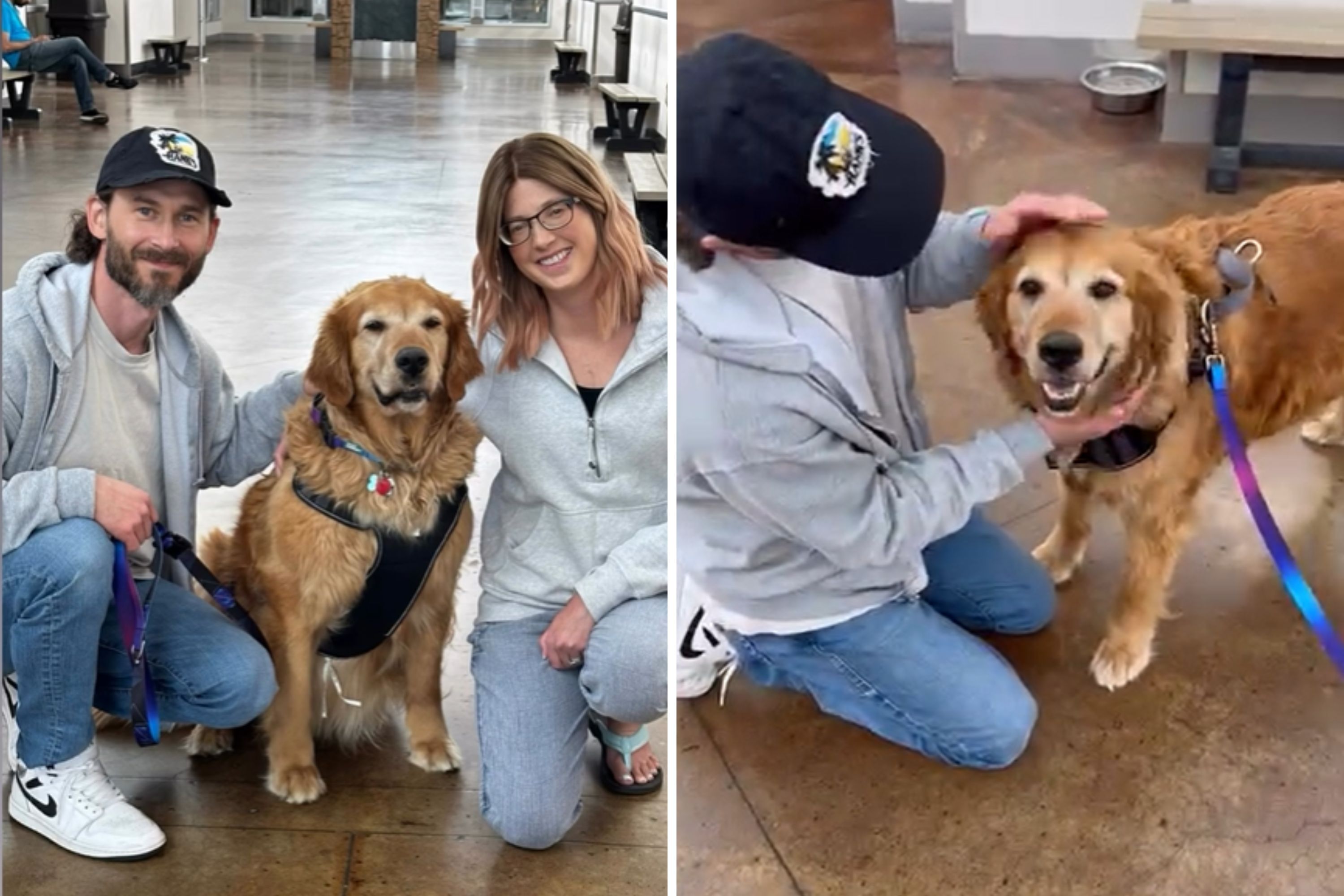 Couple go to animal shelter, take a chance on "oldest, goodest" dog there