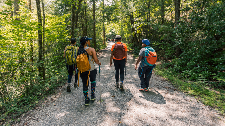 Why You Should Think Twice Before Veering Off-Trail At National Parks