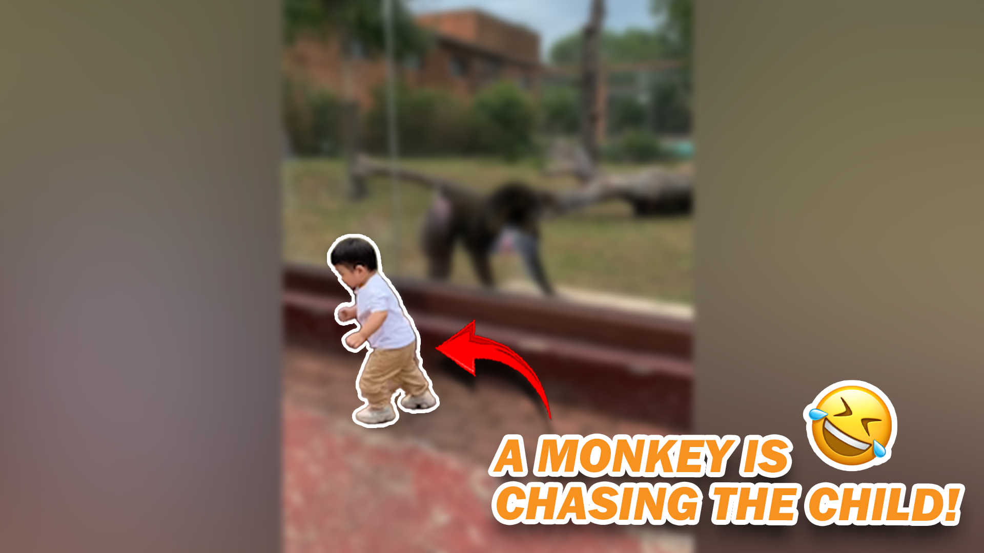 Funny Video Compilation | Try Not to Laugh Challenge