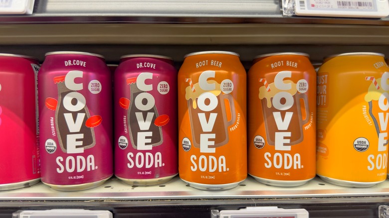 The Best Cove Probiotic Soda Flavor Is As Close To The Real Stuff As ...