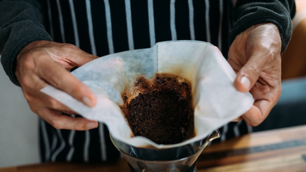 Why You Should Put Coffee Grounds in the Toilet Before Vacation
