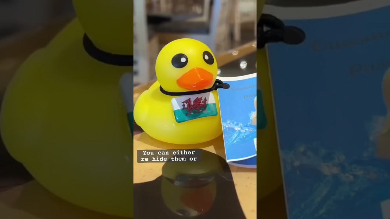 There are THOUSANDS of rubber ducks hidden on cruise ships 🦆⚓️