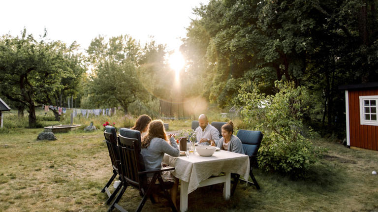 The Budget-Friendly Way To Add More Shade To Your Backyard