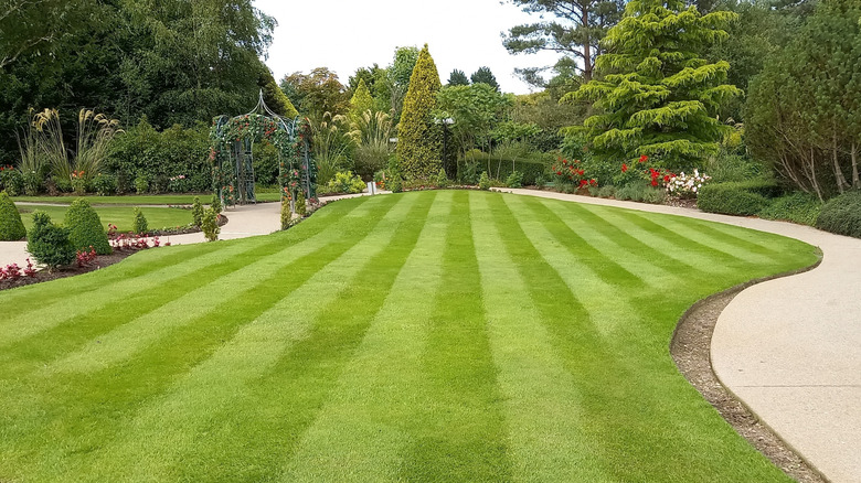 The Best Method To Mow Stripes Into Your Lawn