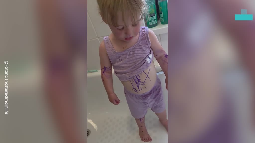 Toddler Blames the Cat for Marker Mayhem