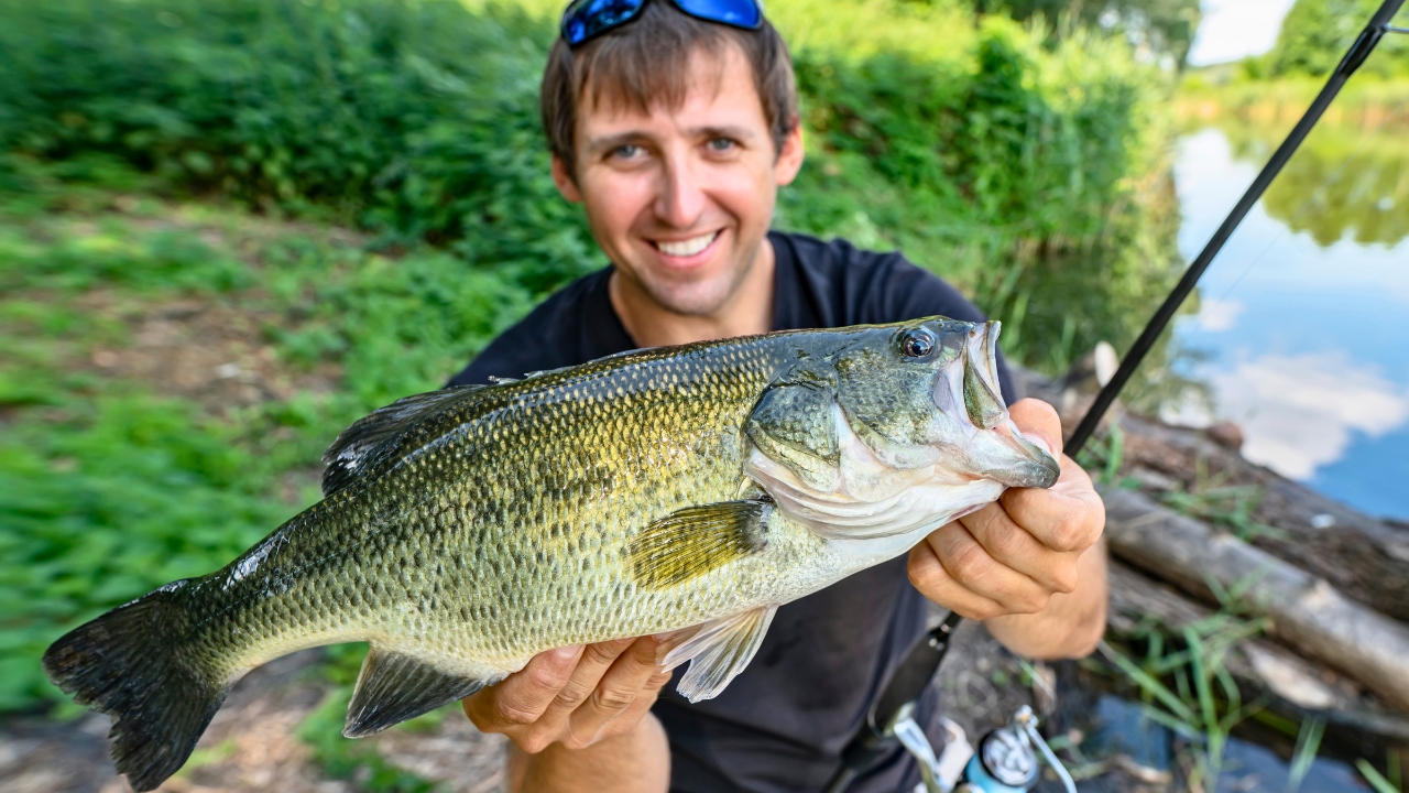 Lures that catch pressured fish when nothing else works