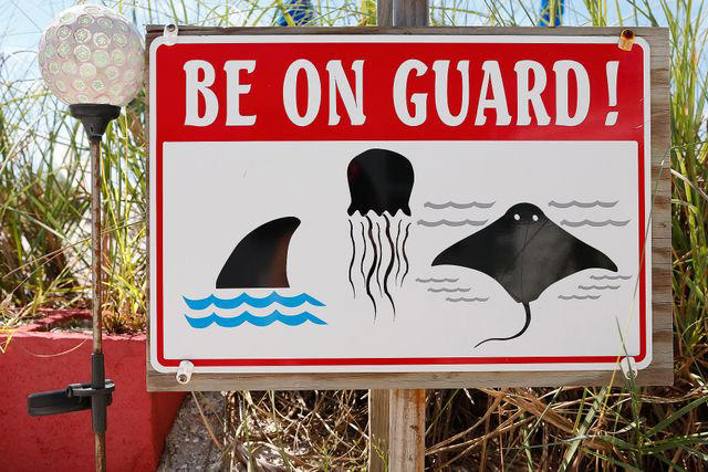 Shark Attacks Surfer, 18, at Florida Beach Known as the 'Shark Bite ...