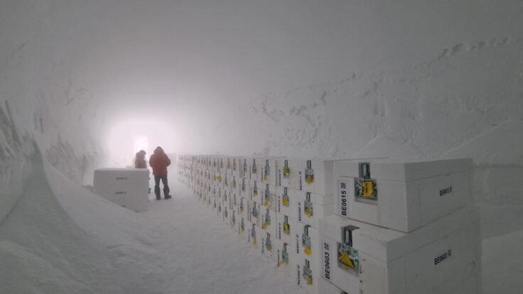Scientists begin melting Earth's oldest ice core