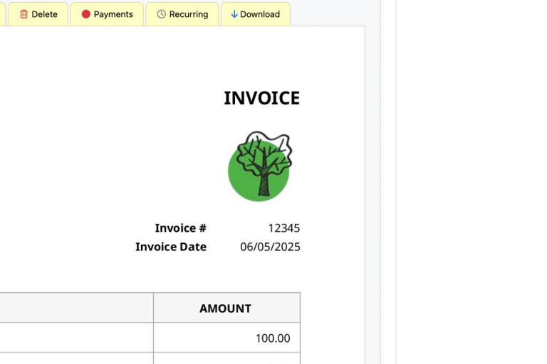 How to Customize an Invoice Template That Reflects Your Brand