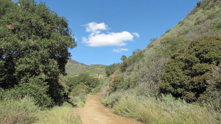 Hidden In California's Santa Ana Mountains Is A Local-Loved Canyon ...
